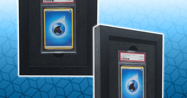 PSA Display Frame 1 wide 1 tall